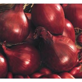 Onions - Red Baron 20kg