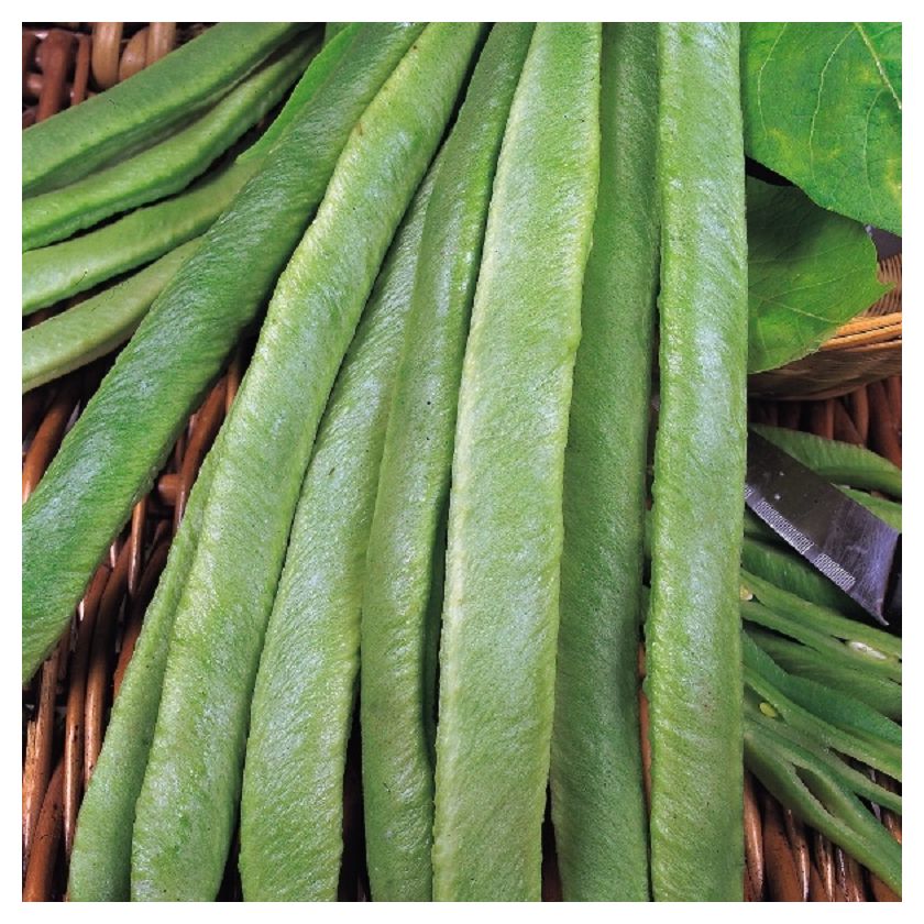 Kings - Runner Beans Streamline